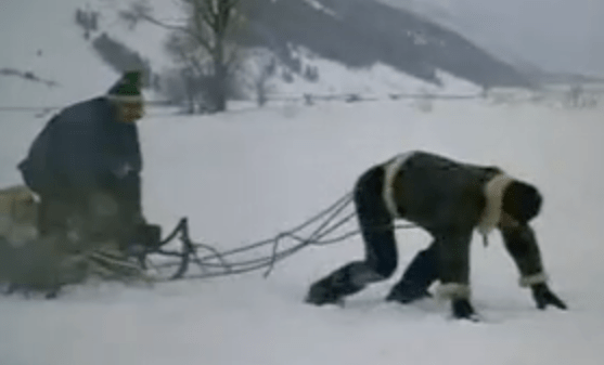 Sled Pulls for Speed | UltiTraining.com