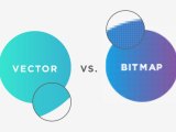 Working With Bitmap And Vector Graphics