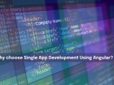 Why Choose Single Page App Spa Development In Angular