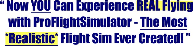 ProFlight Simulator | Original New Products