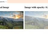 Css Opacity With Examples
