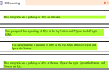 Css Padding Property With Examples