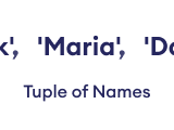Python Tuple With Examples