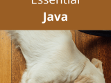 Example 1 Draw And Fill A Rectangle Using Java