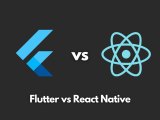 Flutter Vs React Native Which One To Choose Programming Cube