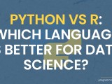 Python Vs R Which Language Is Better For Data Science Programming