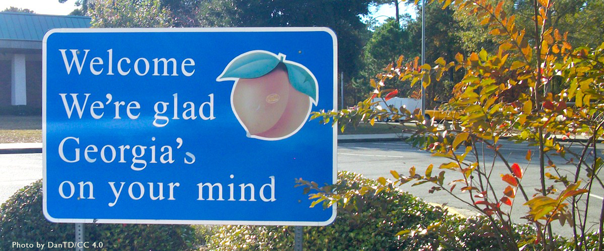 Georgia Sign - Project Vote