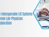 Implementing An Lis System In Lab Best Practices And Pitfalls