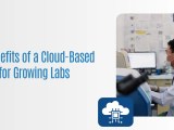 Implementing An Lis System In Lab Best Practices And Pitfalls