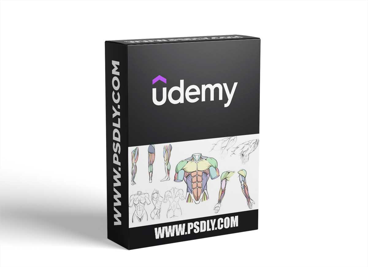 how-to-draw-dynamic-anatomy-step-by-step