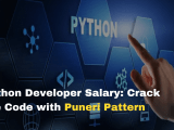 A Guide To Python Developer Salaries Puneri Pattern