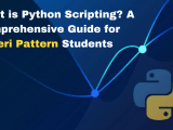 What Is Python Scripting Puneri Pattern