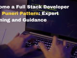 Become A Full Stack Developer Puneri Pattern