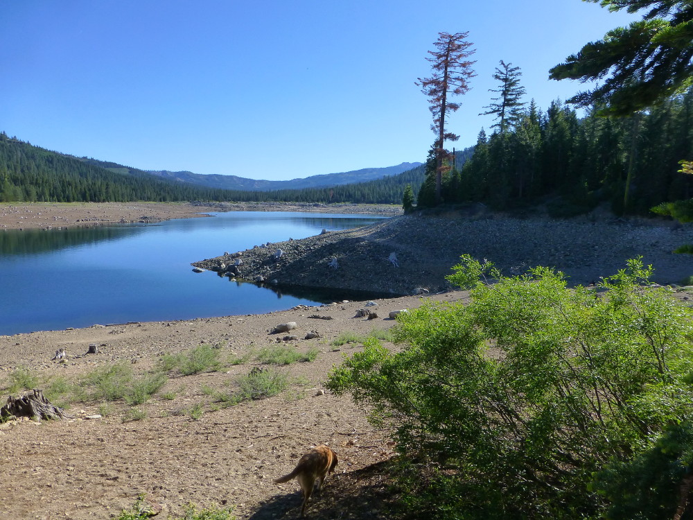 Fishing French Meadows Reservoir – PureSynchronicity