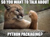 Demystifying The Python Packaging Ecosystem Pyopensci