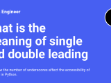 What Is The Meaning Of Single And Double Leading Underscore In Python