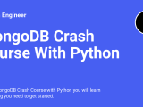 Mongodb Crash Course With Python Python Engineer