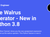 Walrus Operator Can You Spot A Walrus In The Wild Or Better Yet From