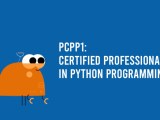 General Purpose Programming Skillet Python