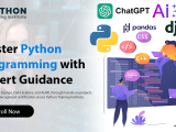 Python Training Institute In Pune Top Python Courses Certification