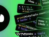 Pythoneiro Aprenda Programação E Ciência De Dados Gratuito