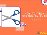 Python Trim Using Strip Rstrip And Lstrip Python Pool