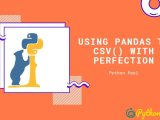 Using Pandas To Csv With Perfection Python Pool