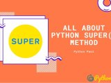 Introduction To Python Super With Examples Python Pool