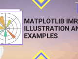 Matplotlib Imread Illustration And Examples Python Pool