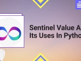 Sentinel Value And Its Uses In Python Python Pool