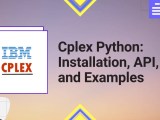 Cplex Python Installation Api And Examples Python Pool