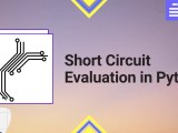 Does Python Have Short Circuit Evaluation Python Pool