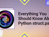 Everything You Should Know About Python Struct Pack Python Pool