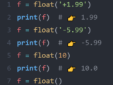 Python Float