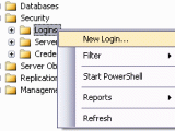 Sql Server User Logins