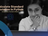 How To Calculate Standard Deviation In Python Setup Code Example