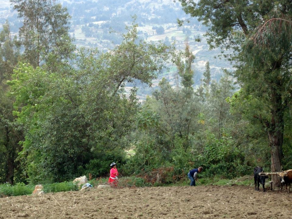 A Mountain Village Countryside – A Photo Essay | Raising Miro on the ...