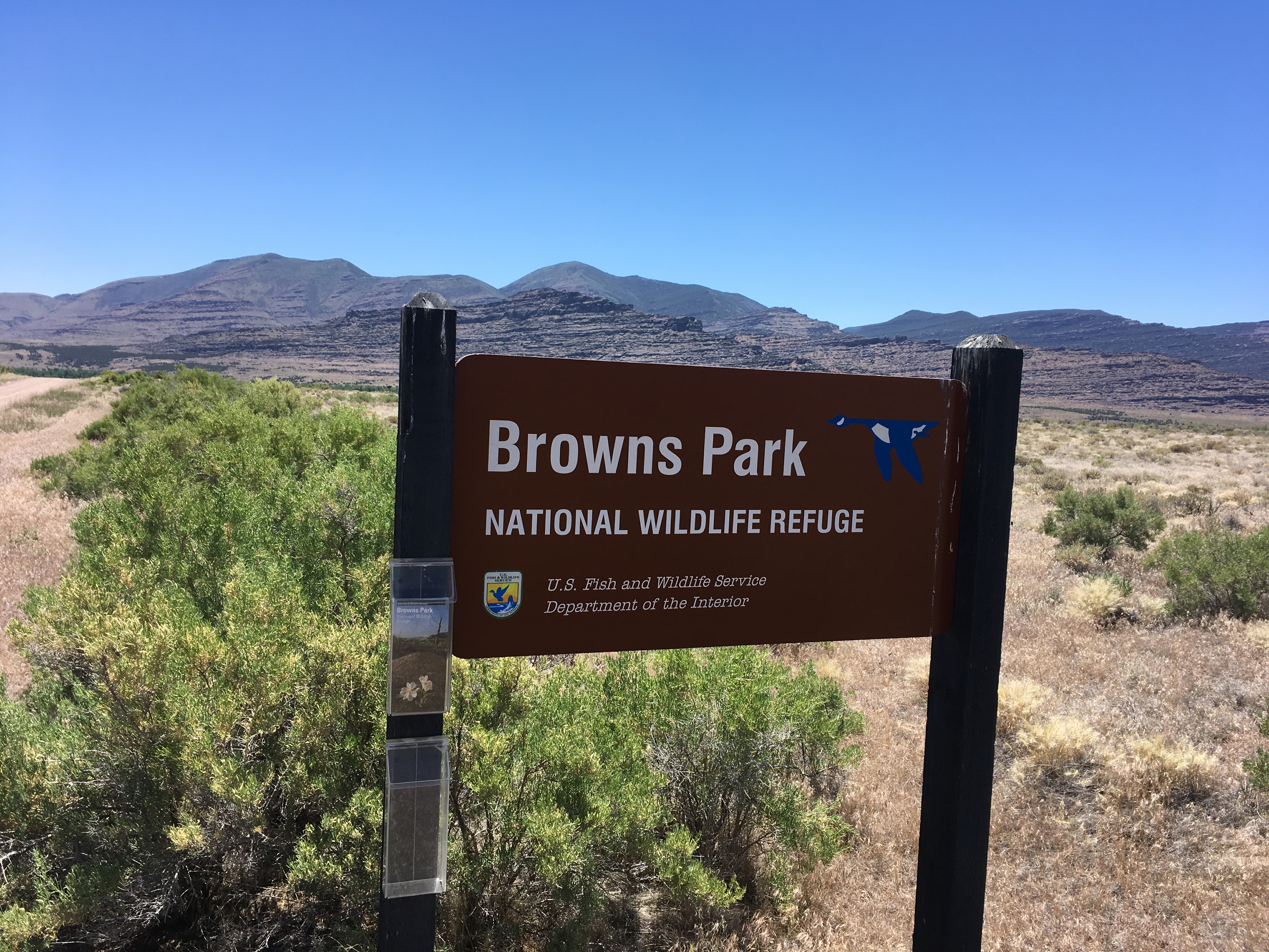 Brown's Park - Randi Samuelson-Brown