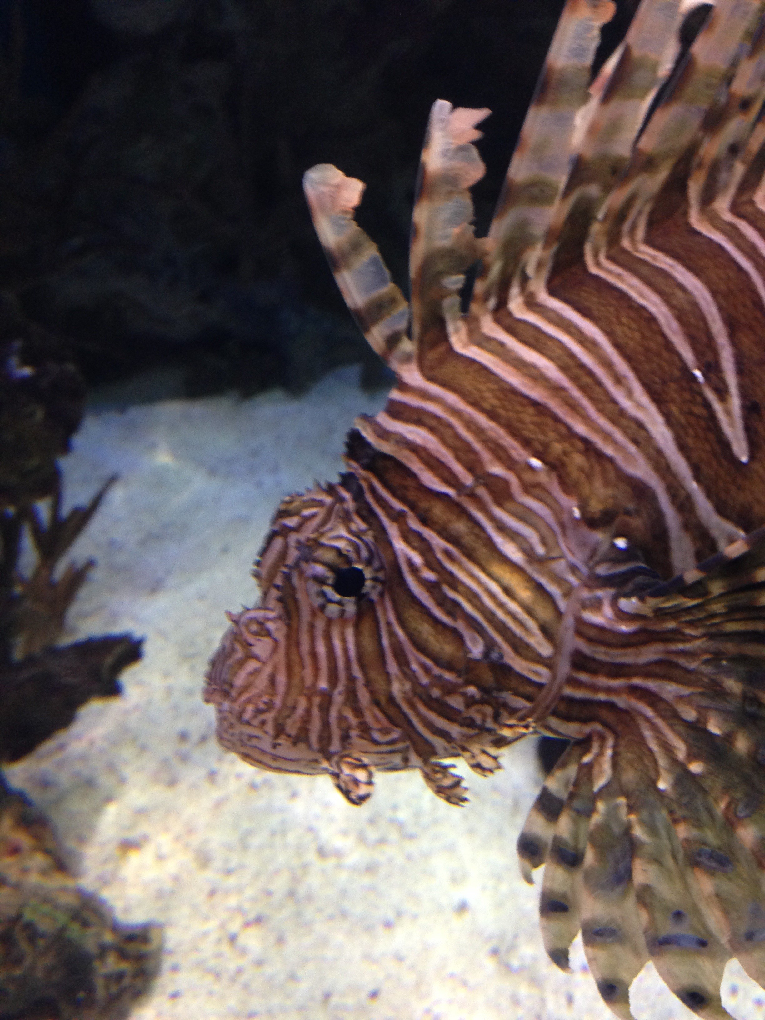 A Tale of Two RAKs | A Year of the Random Acts of Kindness Challenge