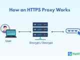 What Is An Https Proxy Rapidseedbox