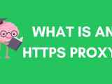 What Is An Https Proxy Rapidseedbox