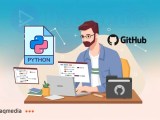 How To Run Python Projects Downloaded From Github Raqmedia