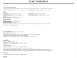 10 Junior Reactjs Developer Resume Samples React Resumes