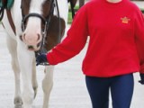 Equine Student Reaseheath College