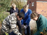Horticulture Fe Main 4 Reaseheath College