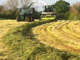 Silaging Harvester In Action Reaseheath College
