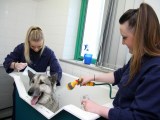Page 16 Animal Care Reaseheath College