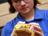 Animal Management Reaseheath College