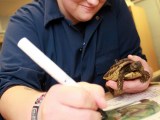 Animal Management Reaseheath College