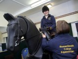 Monthly Riding Simulator Lessons Reaseheath College